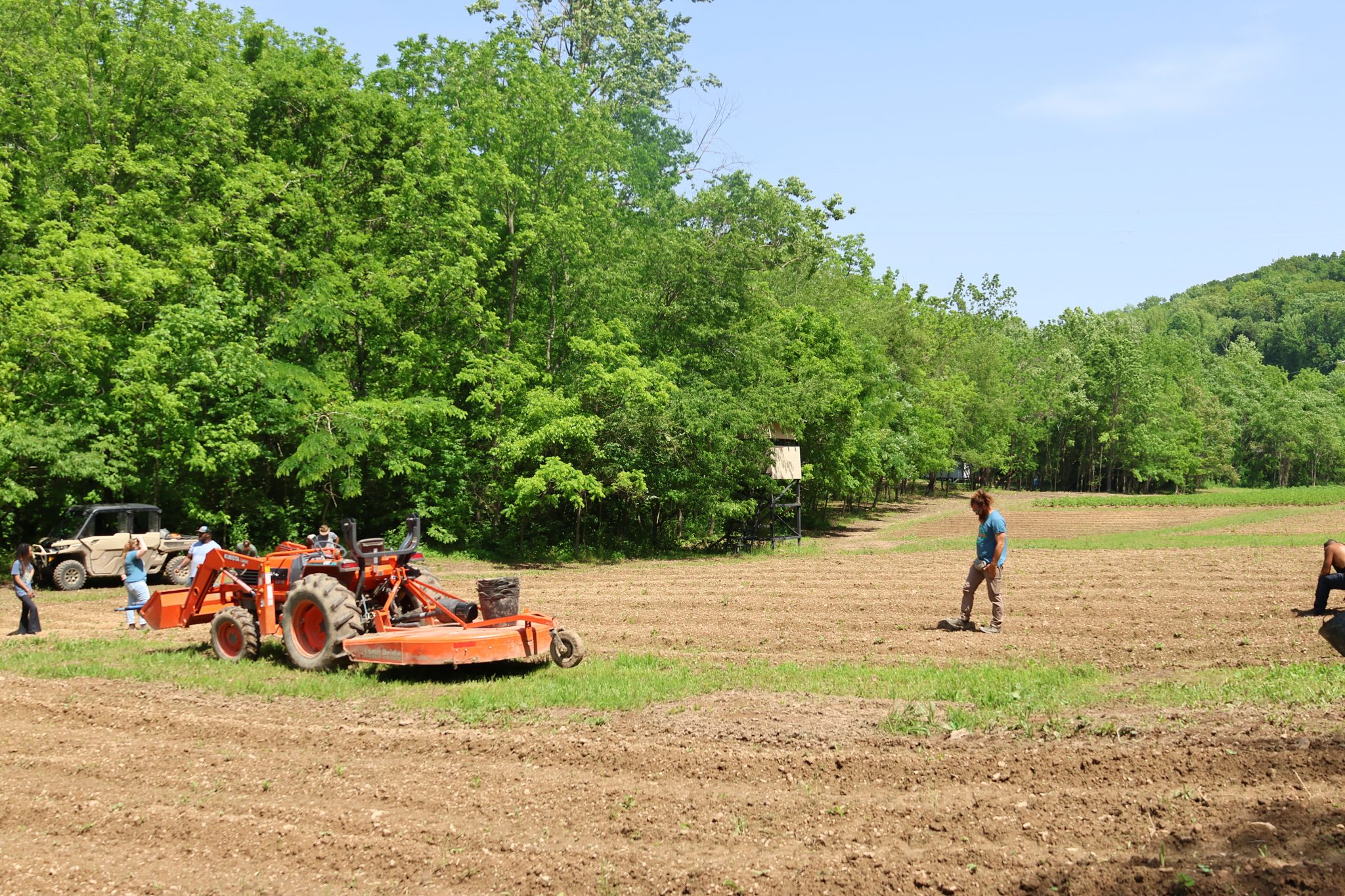 Clearing the Rocks - Cul2vate